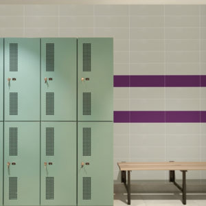 COLOR WHEEL™ LINEAR – Daltile